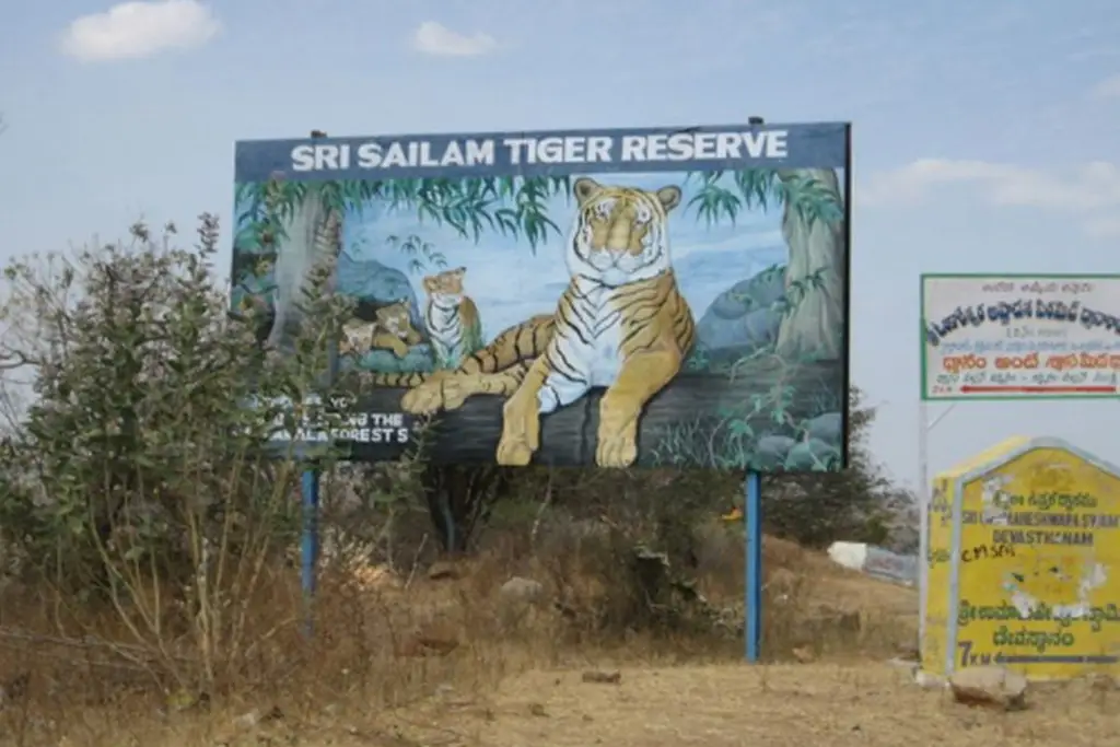 Management & Administration of Tiger Reserve