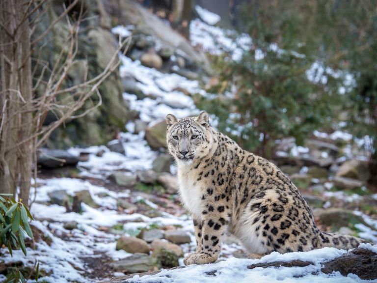 Tour Operator in India - Nature Safari India