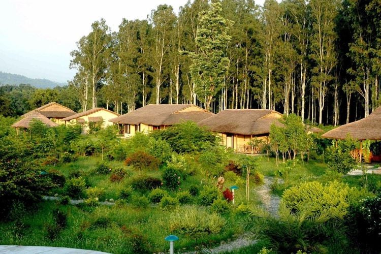 Jim Corbett National Park, great place for Wildlife Safaris